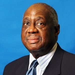 Bernie Hayes named interim executive director of National Blues Museum ...