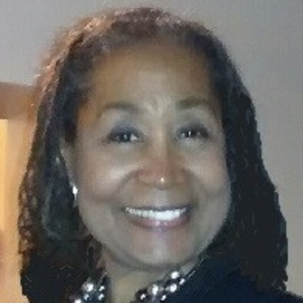 Monica McFee selected as STL Art Museum board chair - St. Louis American